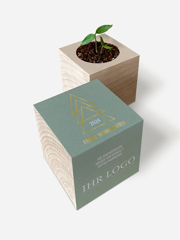 Chili-Pflanze im Holzwürfel "Fine Lines"