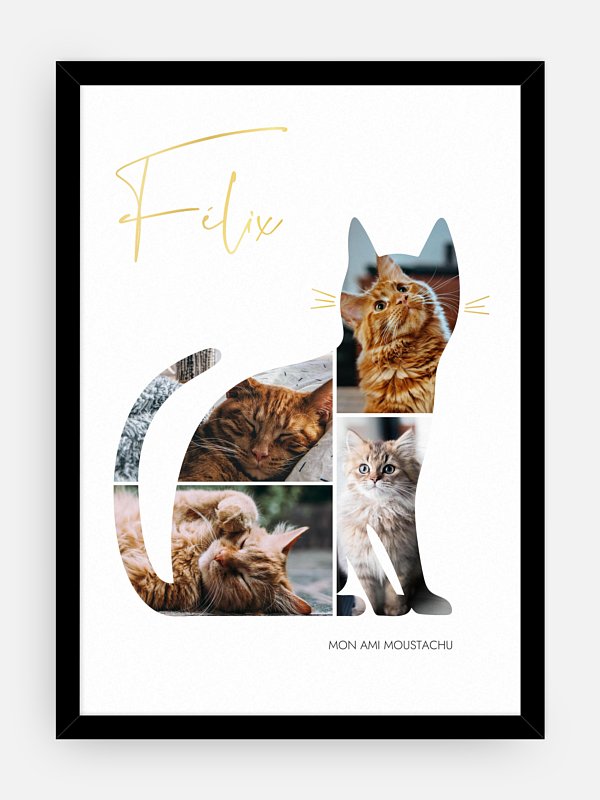 Affiche "Photo collage chat"