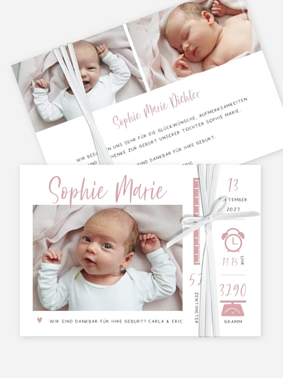 Geburtskarte "Goosefamily"